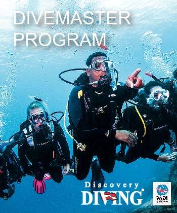 Discovery Diving Education | Programs